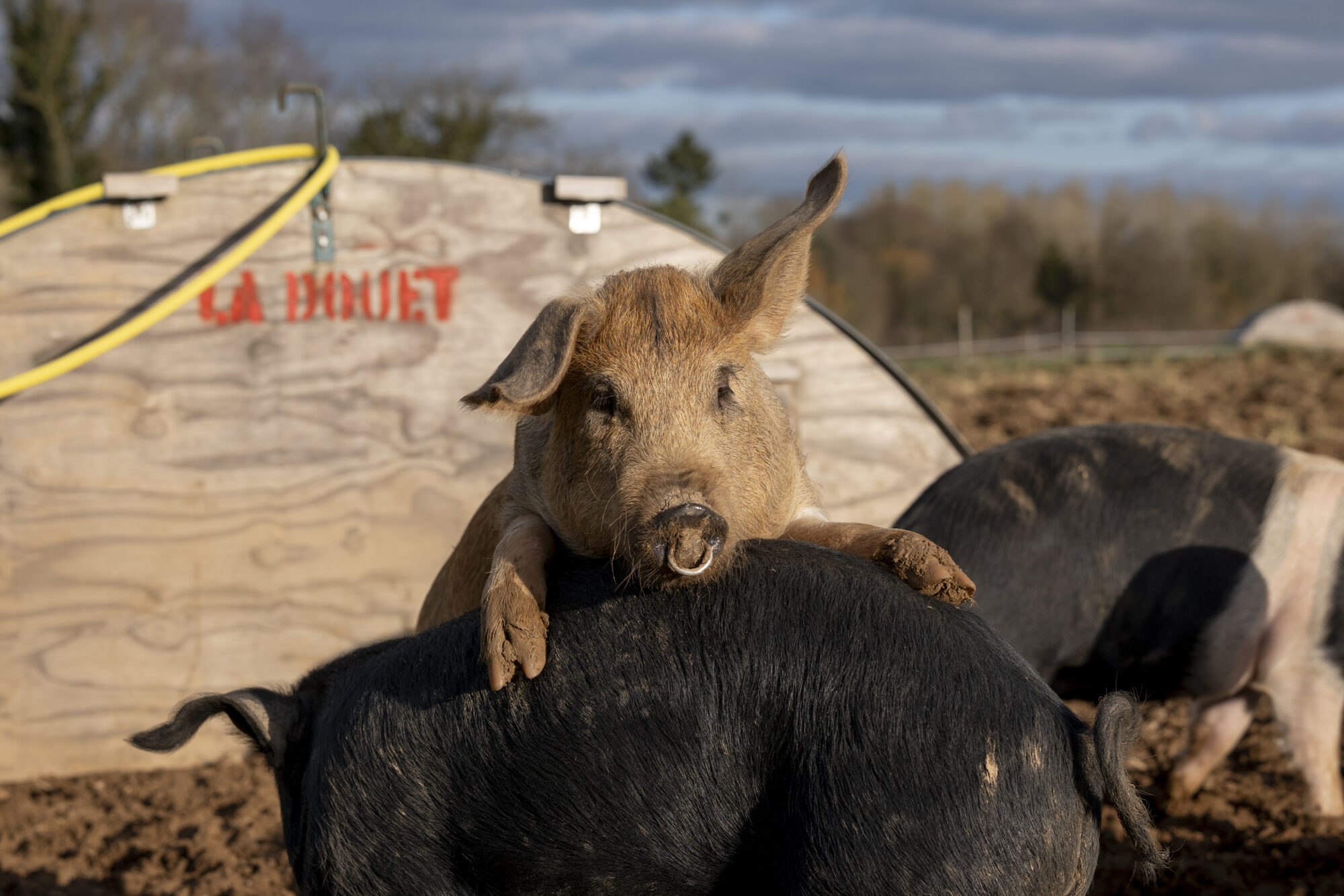 Actualités • Réseau GAB - FRAB